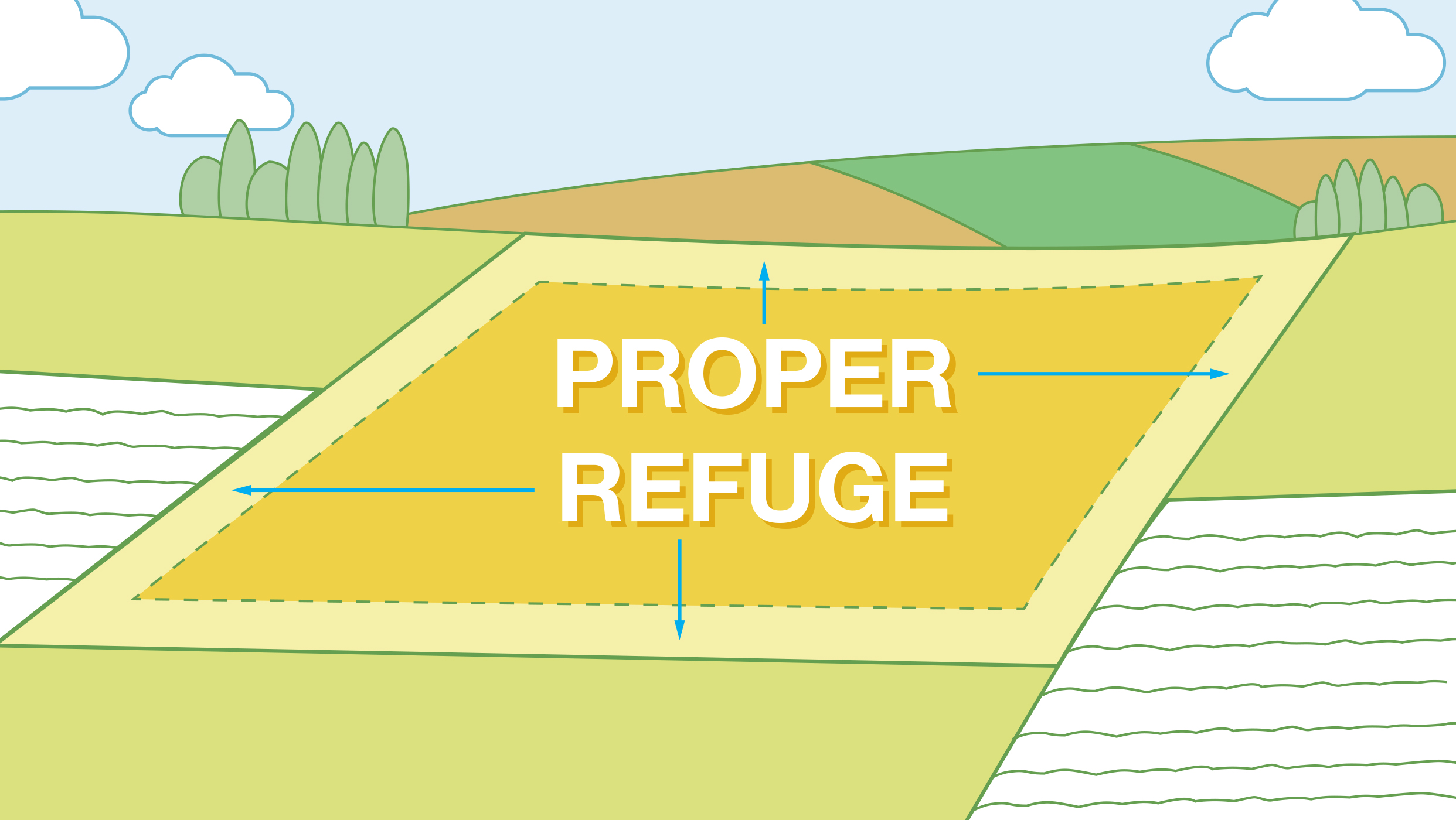 Enogen Feed Hybrids | Syngenta US